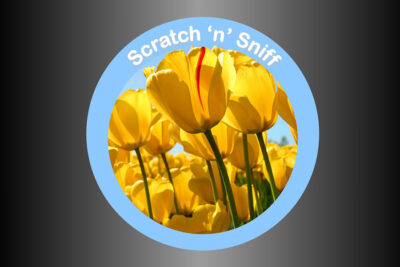 Scratch n Sniff Stickers - Goldcrest Products